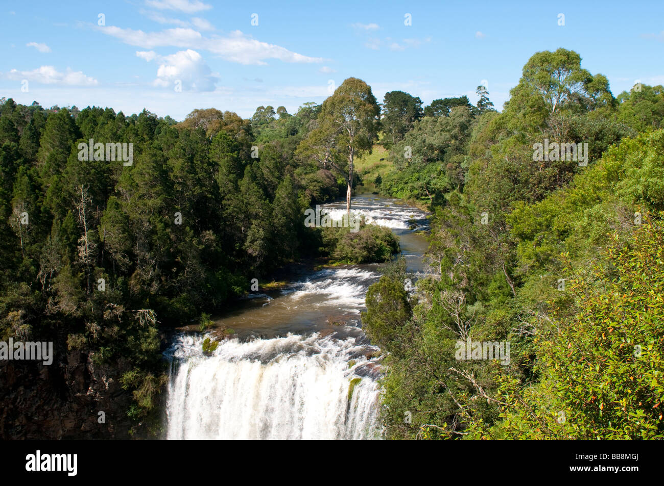 Danger Falls Bellinger region NSW Australia Stock Photo - Alamy