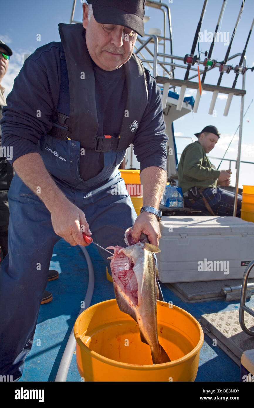 Cleaning fish hi-res stock photography and images - Alamy