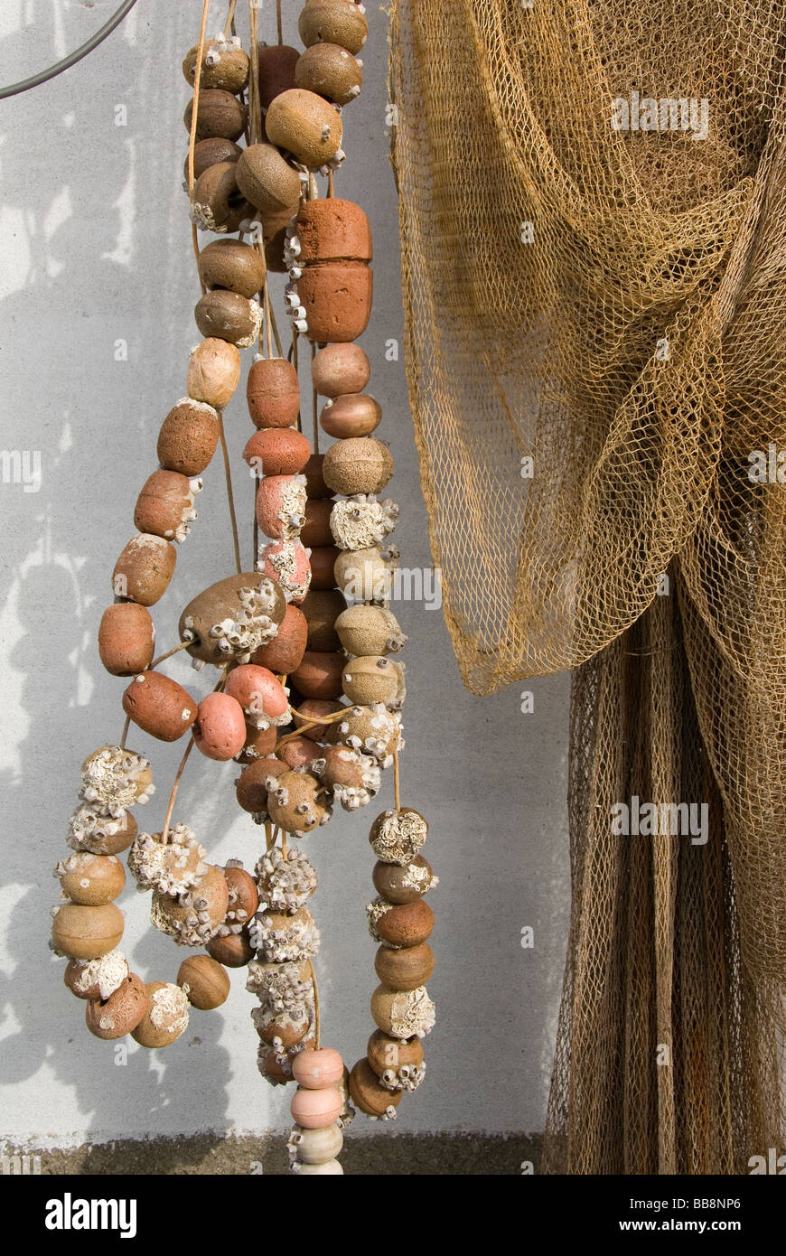 Shell encrusted net floats like a string of mermaid's pearls hanging to ...