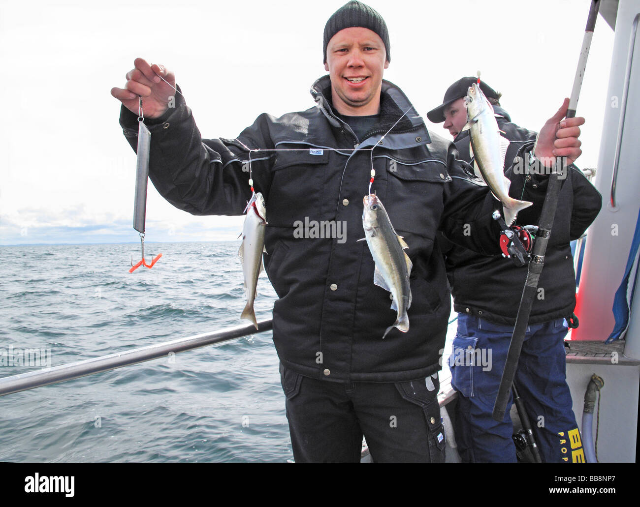 A pleased sport sea fisherman on a boat deck displays his catch 3 small ...