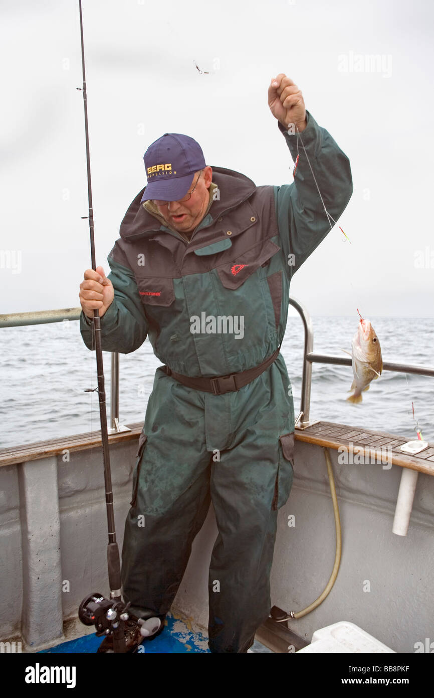 Sport sea fisherman on a boat deck pulls up his catch a small coalfish ...