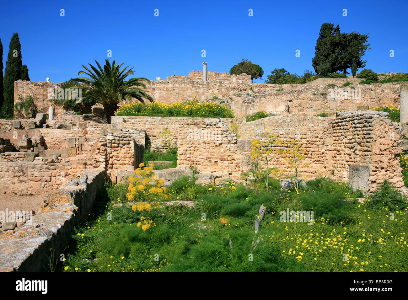 Carthage house hi-res stock photography and images - Alamy