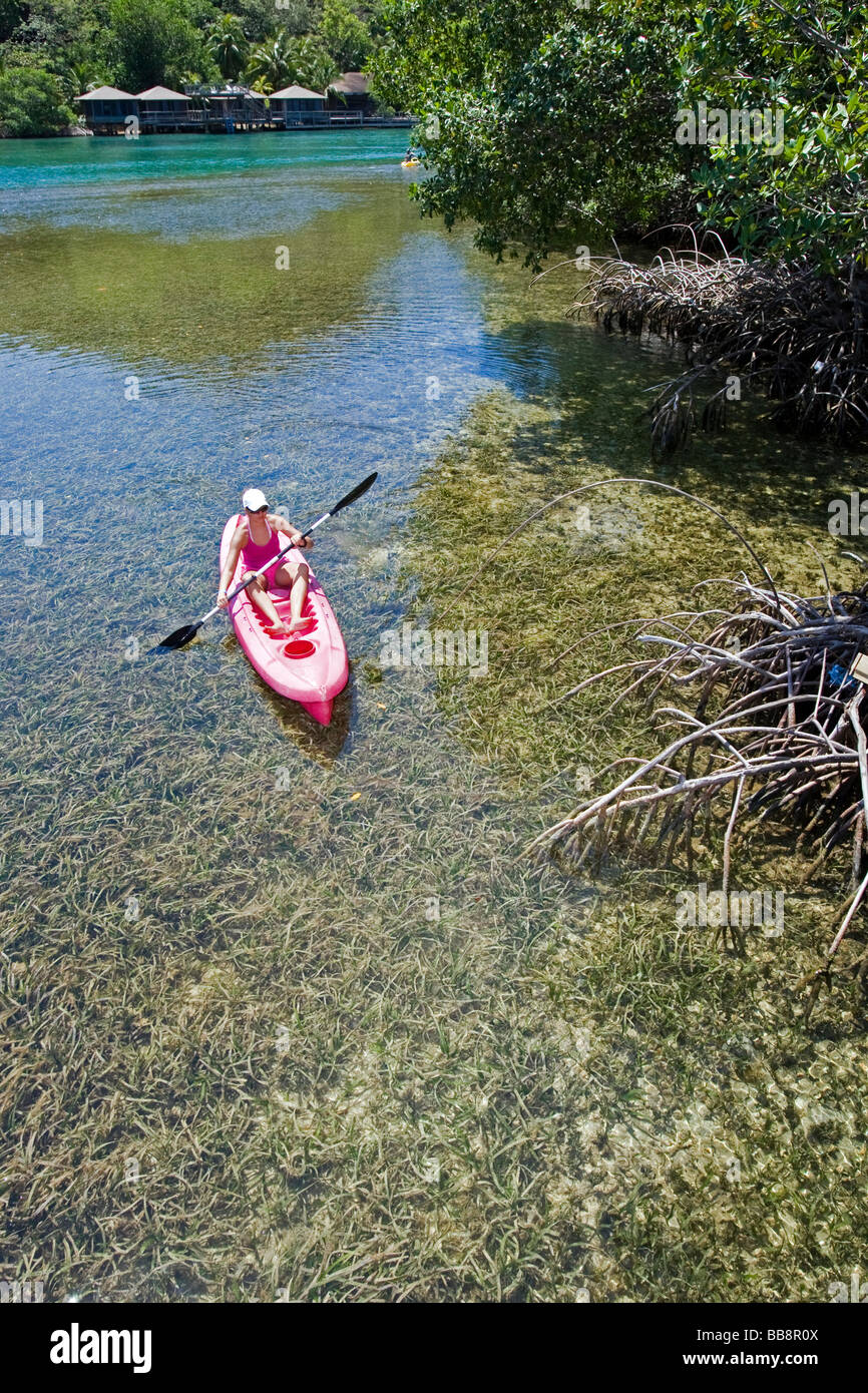 Child canoeing through mangrove wood, Honduras, the Caribbean Stock ...