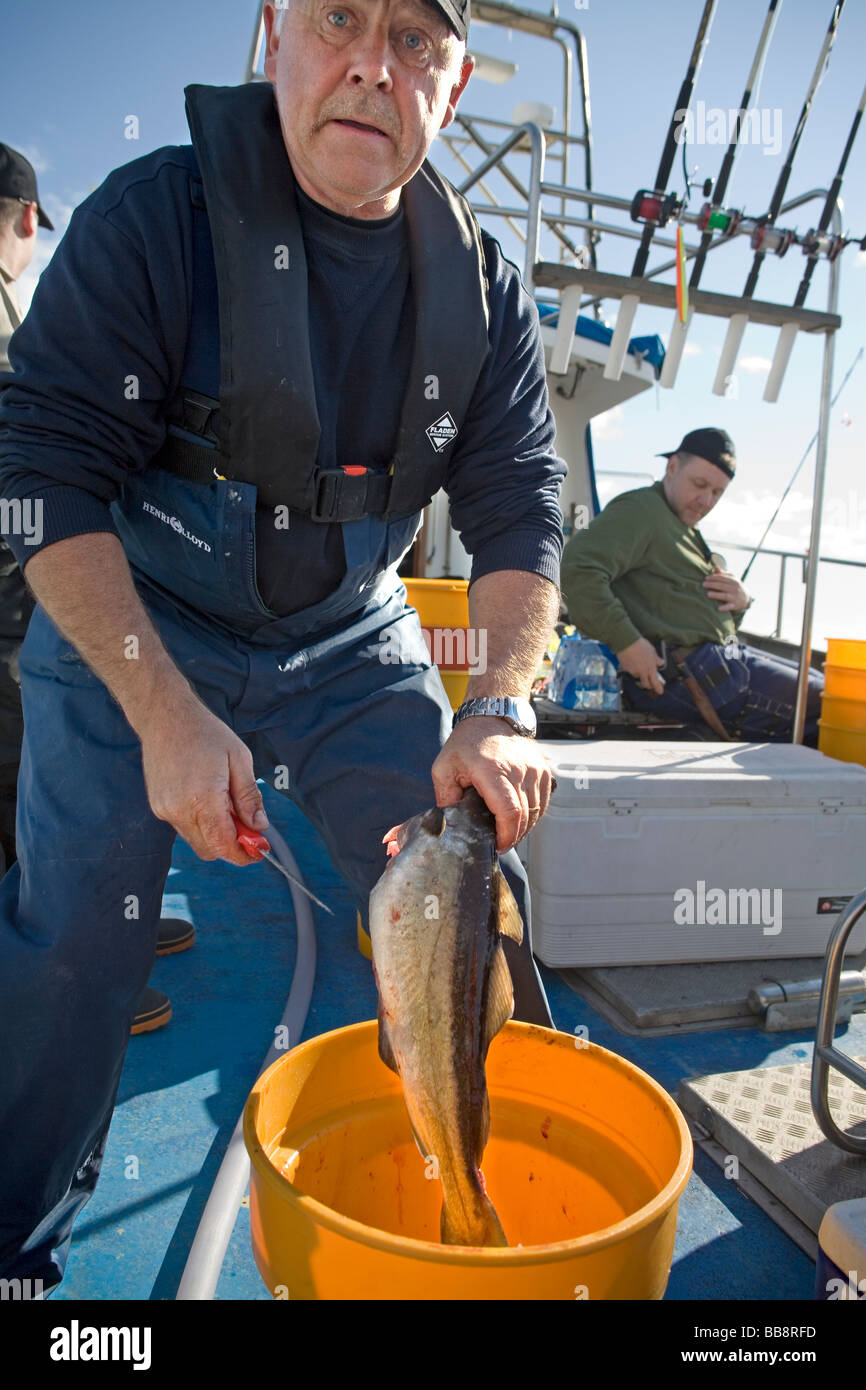 Fisherman cleaning fish on the deck of a sport fishing boat with ...