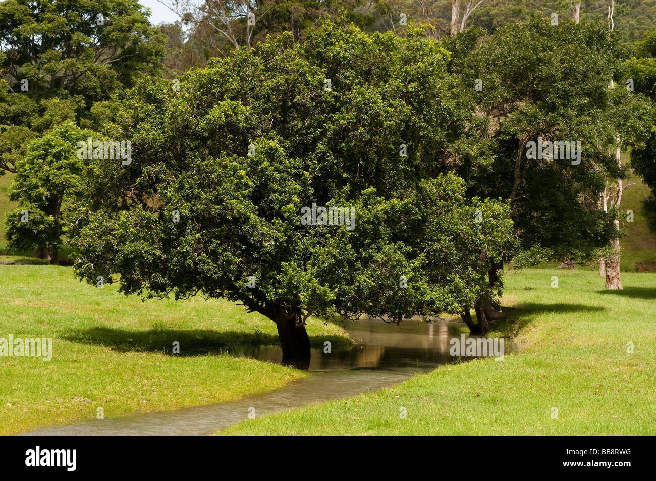Australian inland landscape hi-res stock photography and images - Alamy