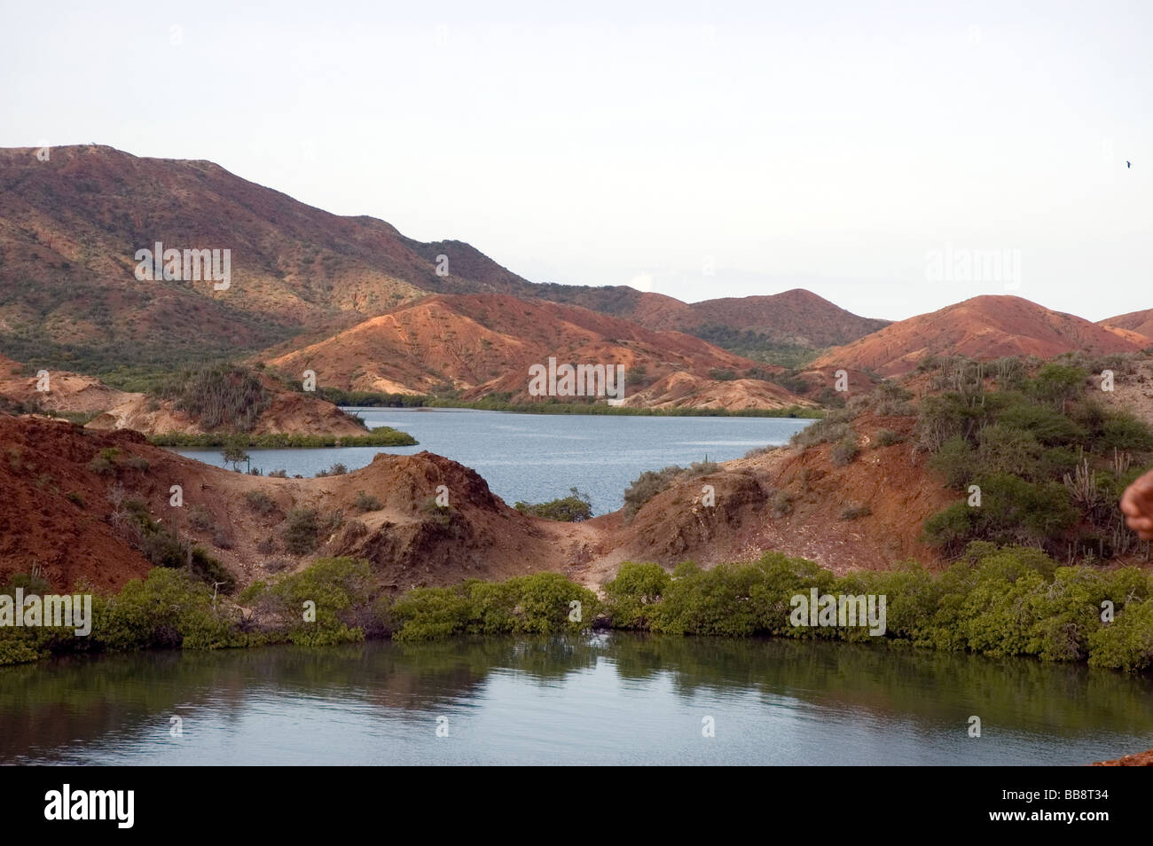Laguna Grande, Golfo de Cariaco, Venezuela Stock Photo - Alamy