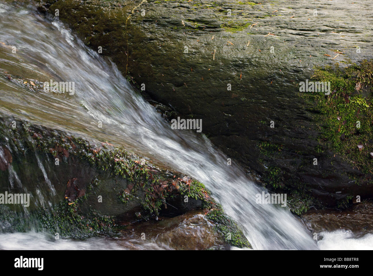 Rushing stream among rocks, Central Balkan National Park, Bulgaria ...
