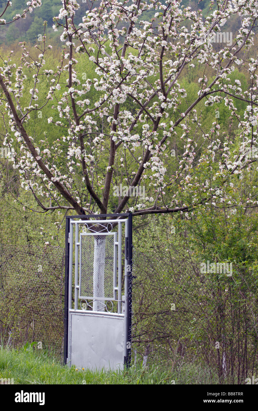 Tree at the gate hi-res stock photography and images - Alamy