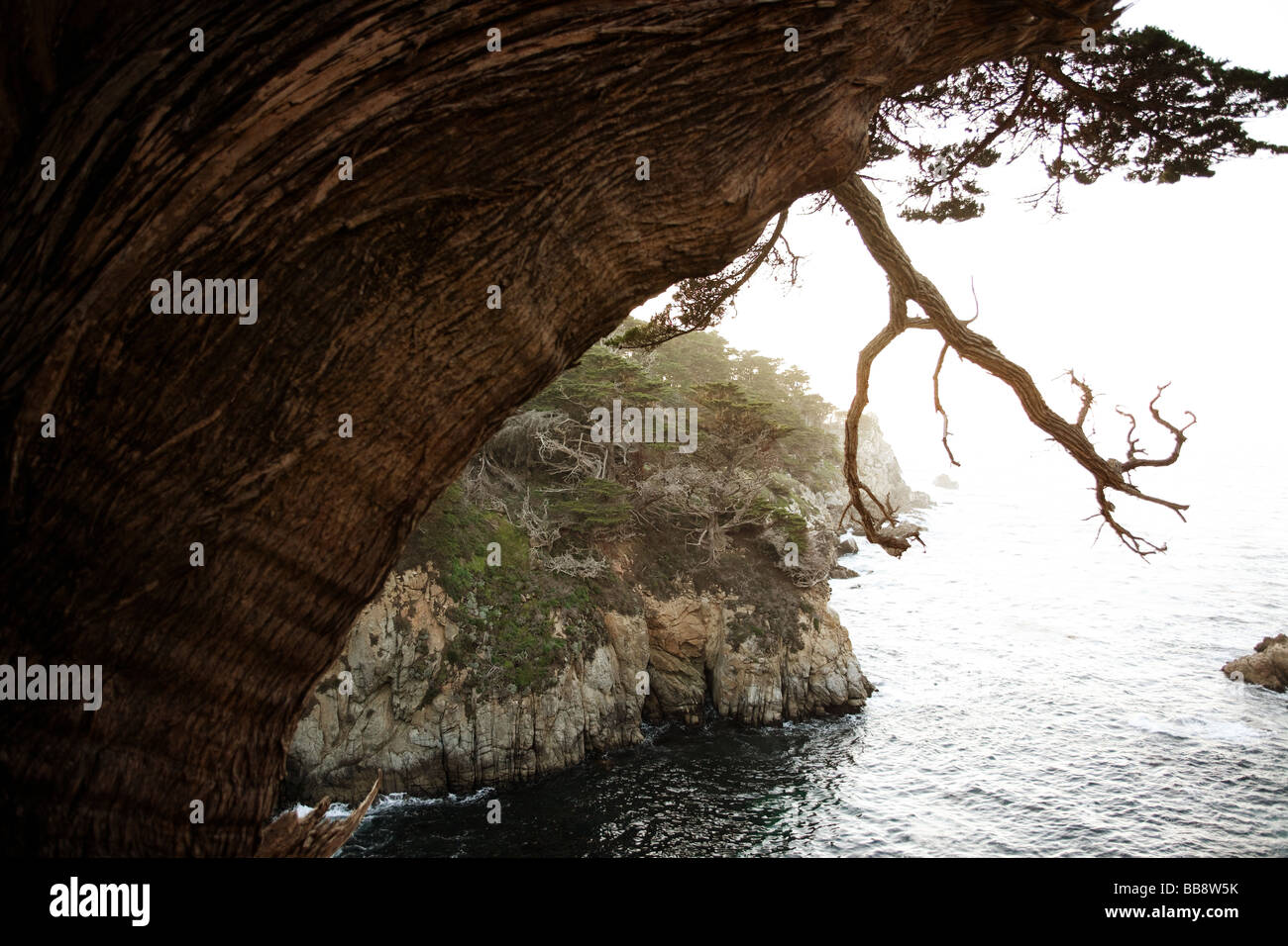 Adams beach hotel hi-res stock photography and images - Alamy