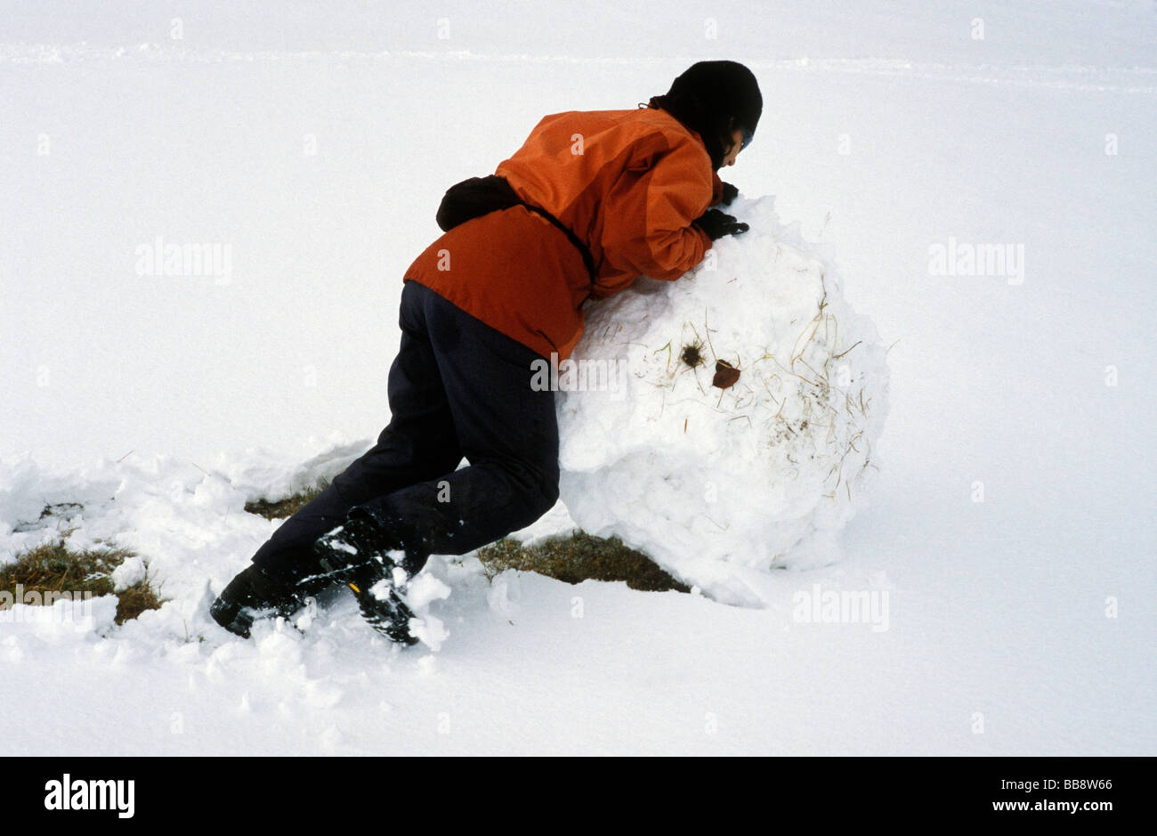 Woman rolling a snowball Germany January 2009 Stock Photo - Alamy