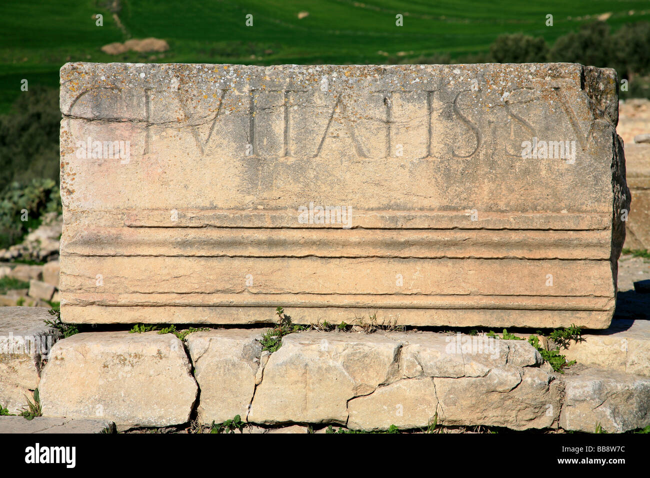 Latin inscription on memorial hi-res stock photography and images - Alamy