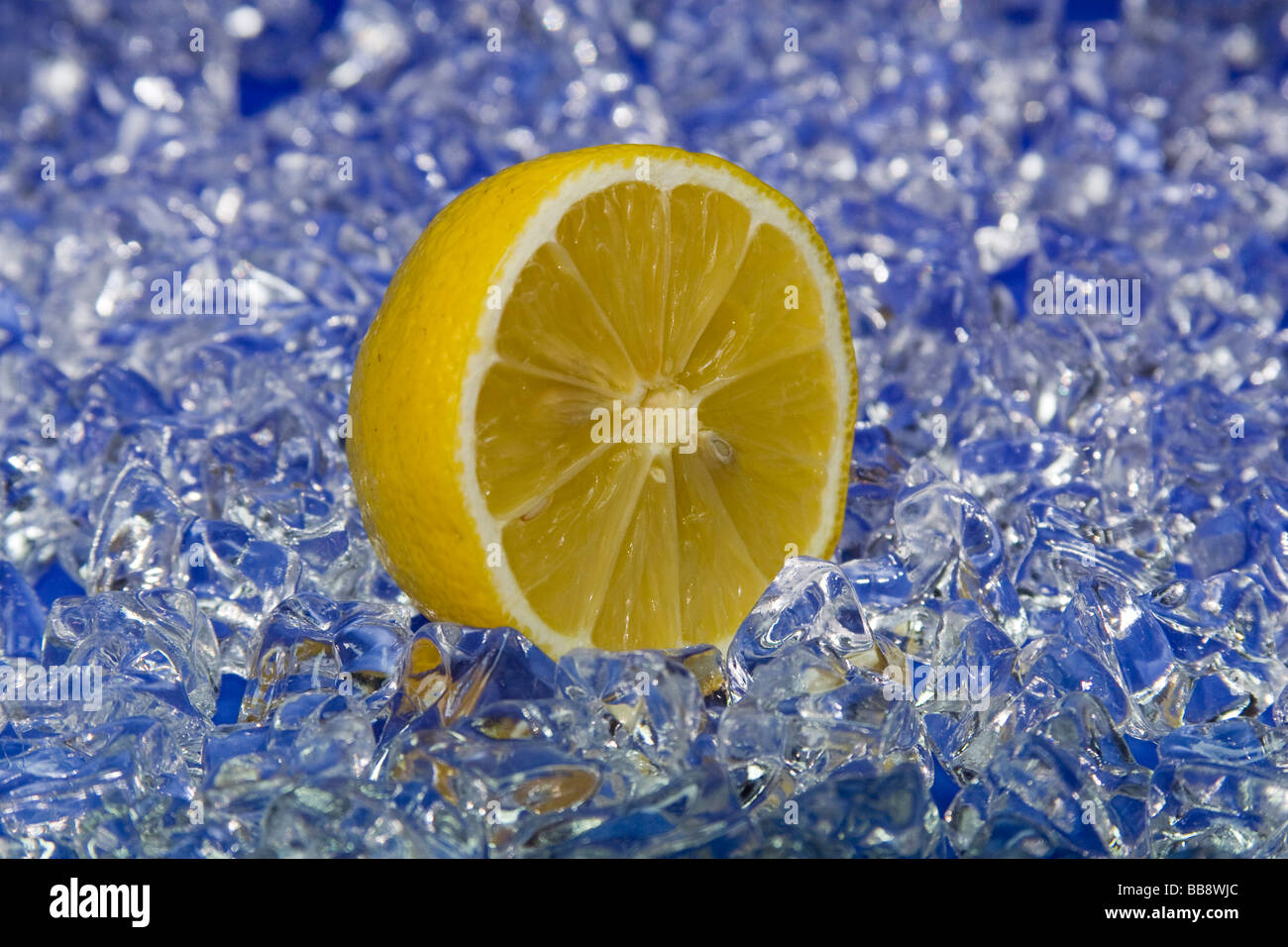 fresh lemon on ice Stock Photo - Alamy