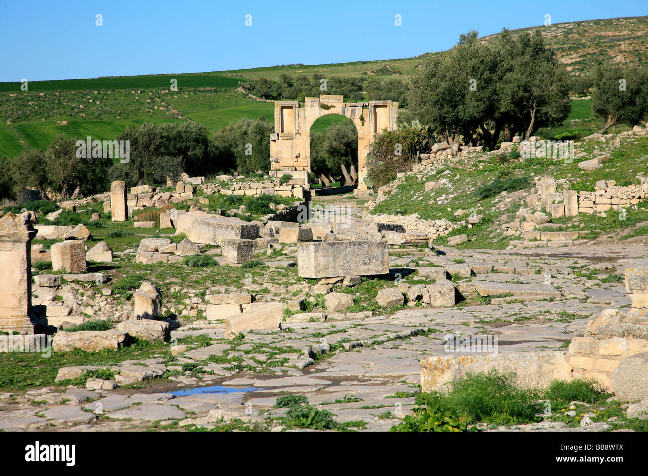 Roman emperor severus alexander hi-res stock photography and images - Alamy
