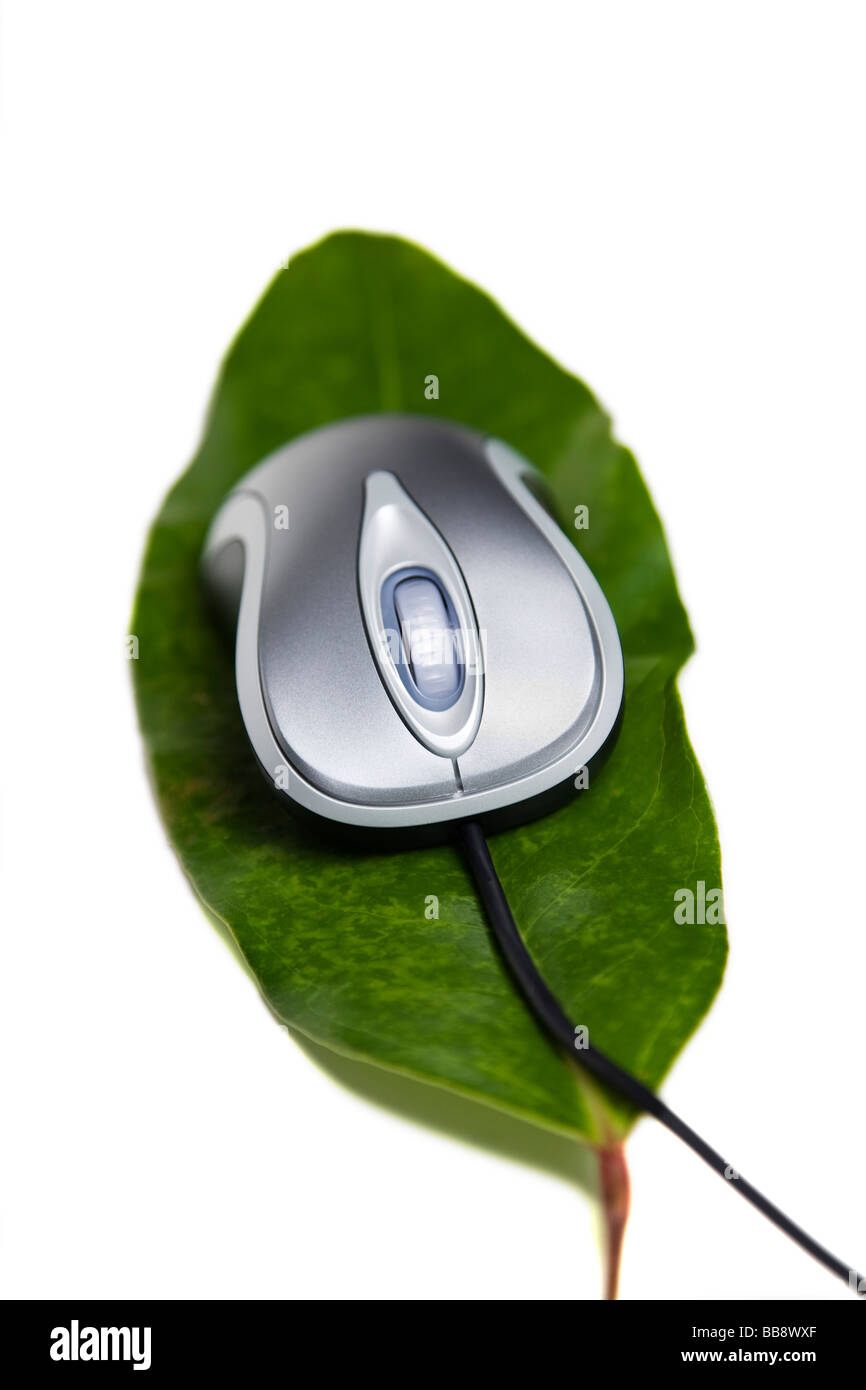 Computer mouse on a leaf Stock Photo - Alamy