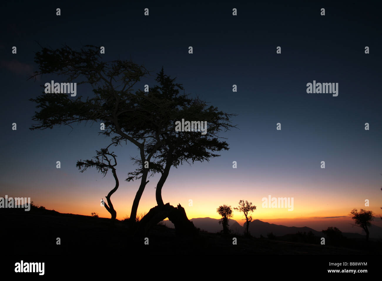 Activities in oman hi-res stock photography and images - Alamy