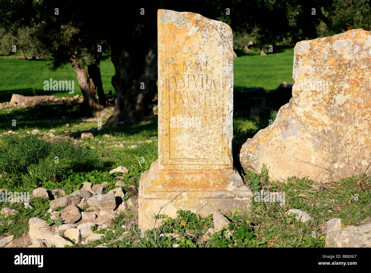 Latin inscriptions on a stele at the Roman ruins in Dougga, Tunisia ...
