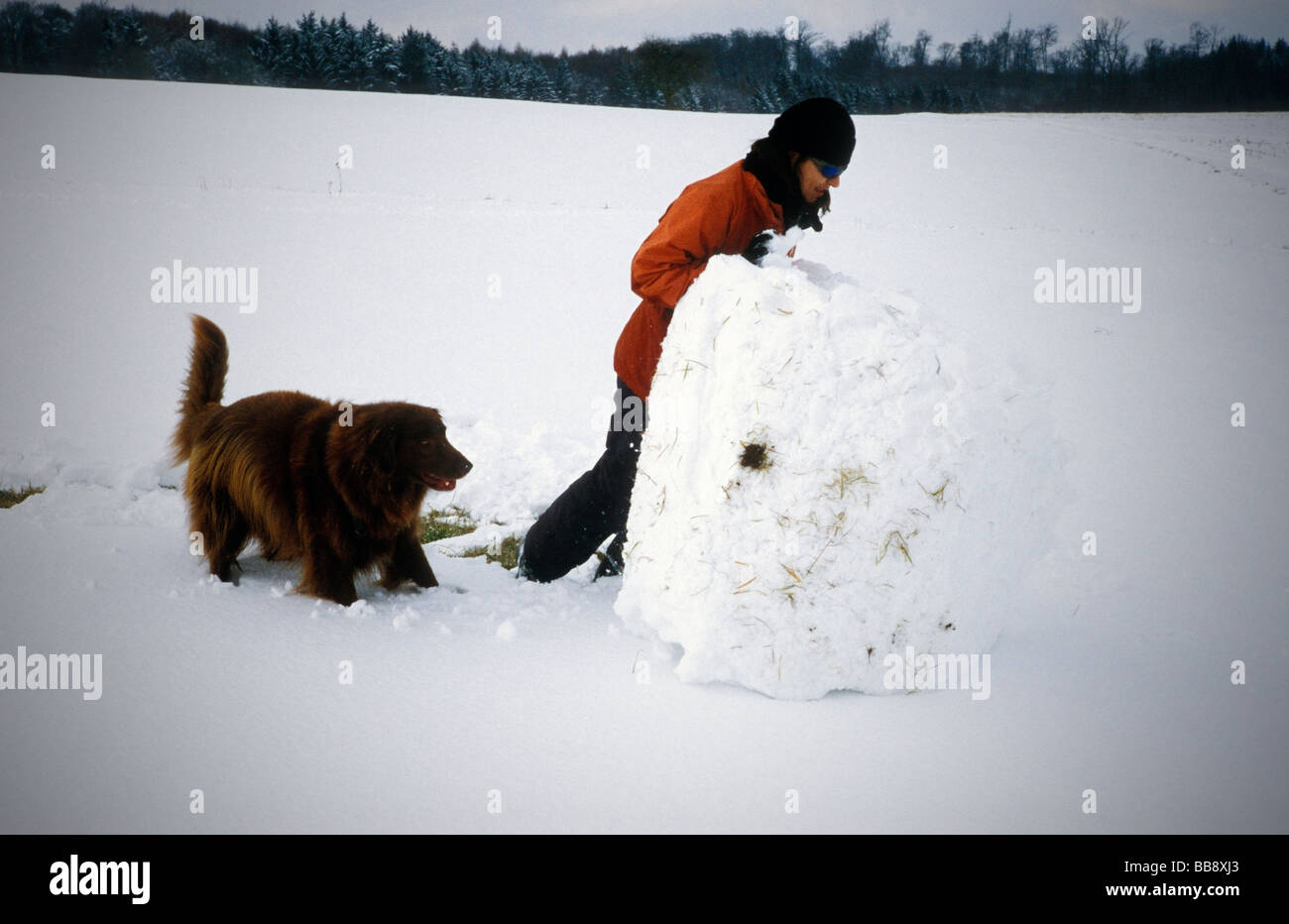 Snowball pushing hi-res stock photography and images - Alamy
