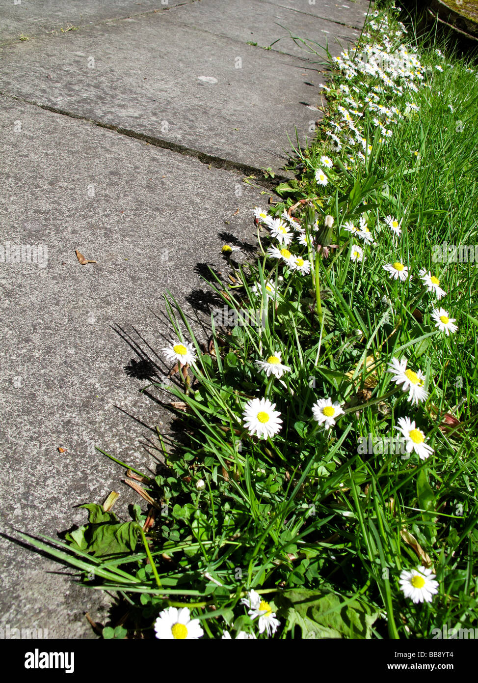 Concrete verge edge hi-res stock photography and images - Alamy