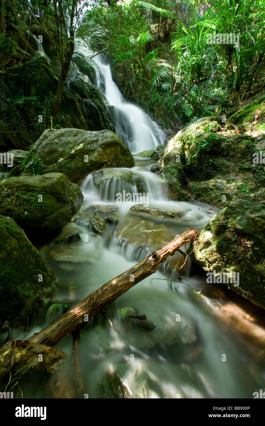 A glorious waterfall on the grounds of the Daintree Eco Lodge Shot ...