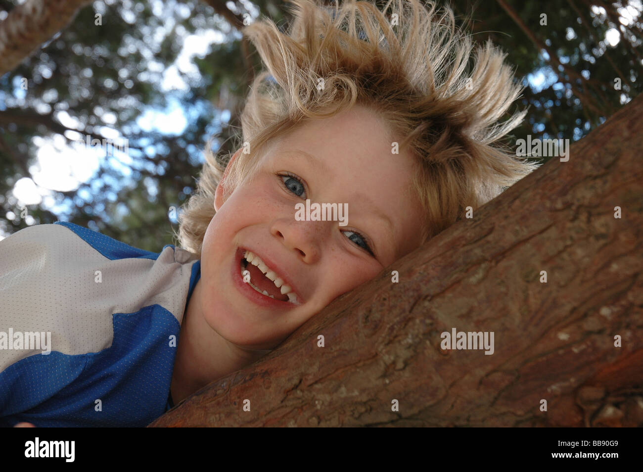 Young boy lying on a tree branch Stock Photo - Alamy