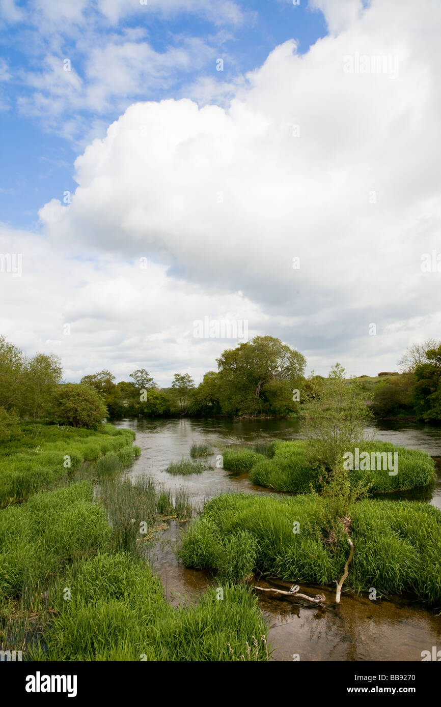 Longham hi-res stock photography and images - Alamy