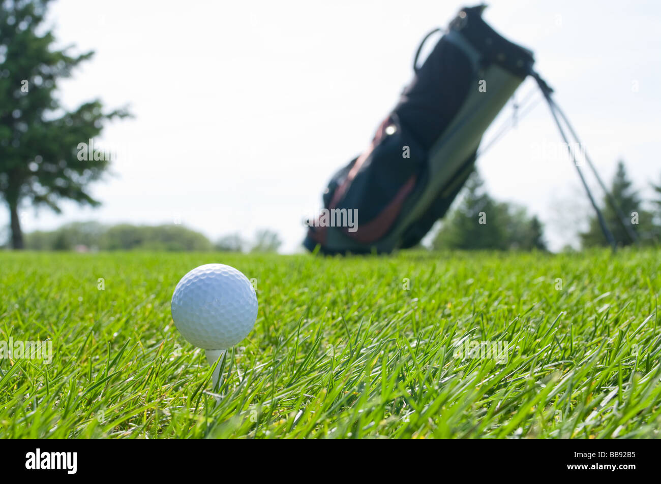 Golf ball on the fairway with bag in background Stock Photo - Alamy