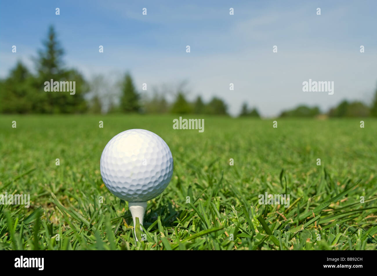 Golf ball on the fairway with blue sky Stock Photo - Alamy