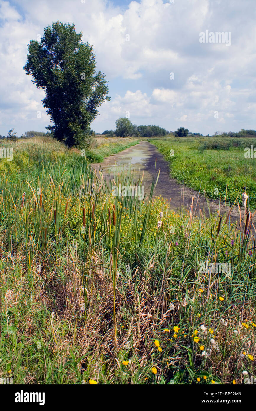 Horicon marsh hi-res stock photography and images - Alamy