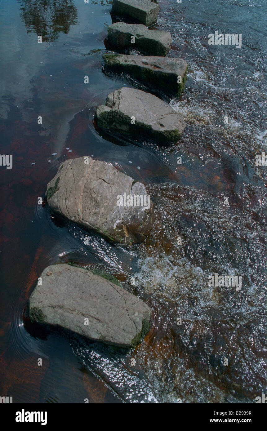 Stepping stones crossing a river Stock Photo - Alamy
