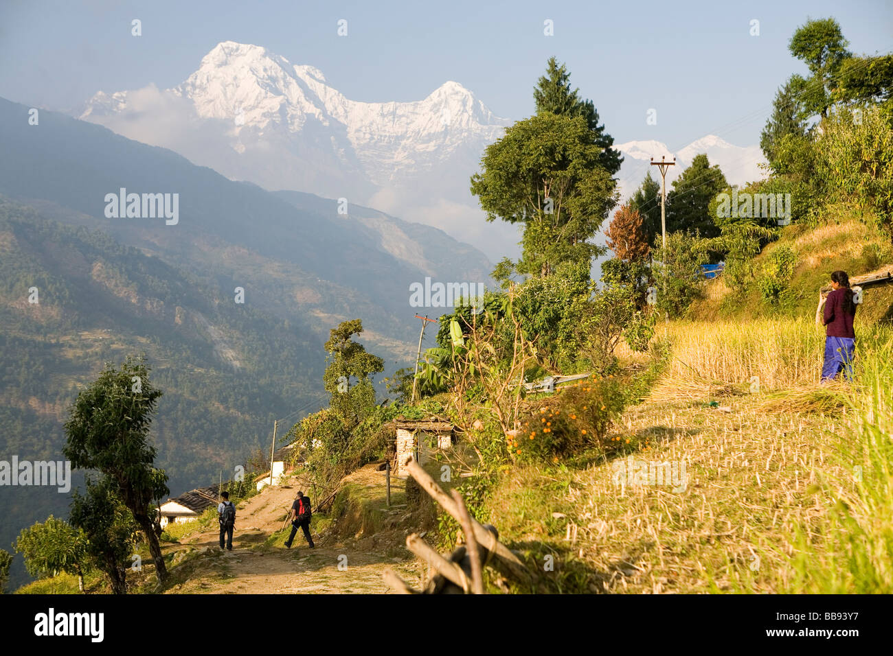 Trekkers pass village fields above the Modi Khola valley with Annapurna ...