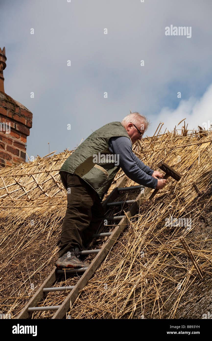 Traditional thatcher repairing thatched roof in Churchtown, Southport ...