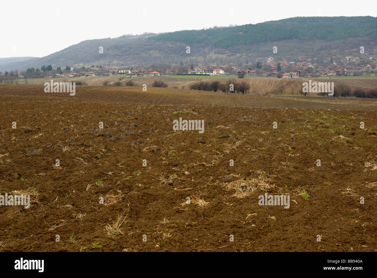 Spring village hi-res stock photography and images - Alamy