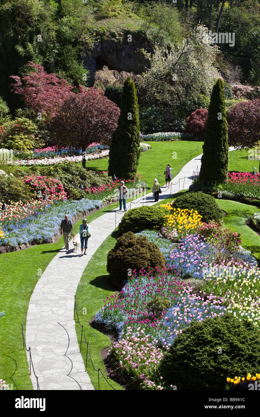 View of Sunken Garden Sunny Spring day in Butchart Gardens Victoria BC ...