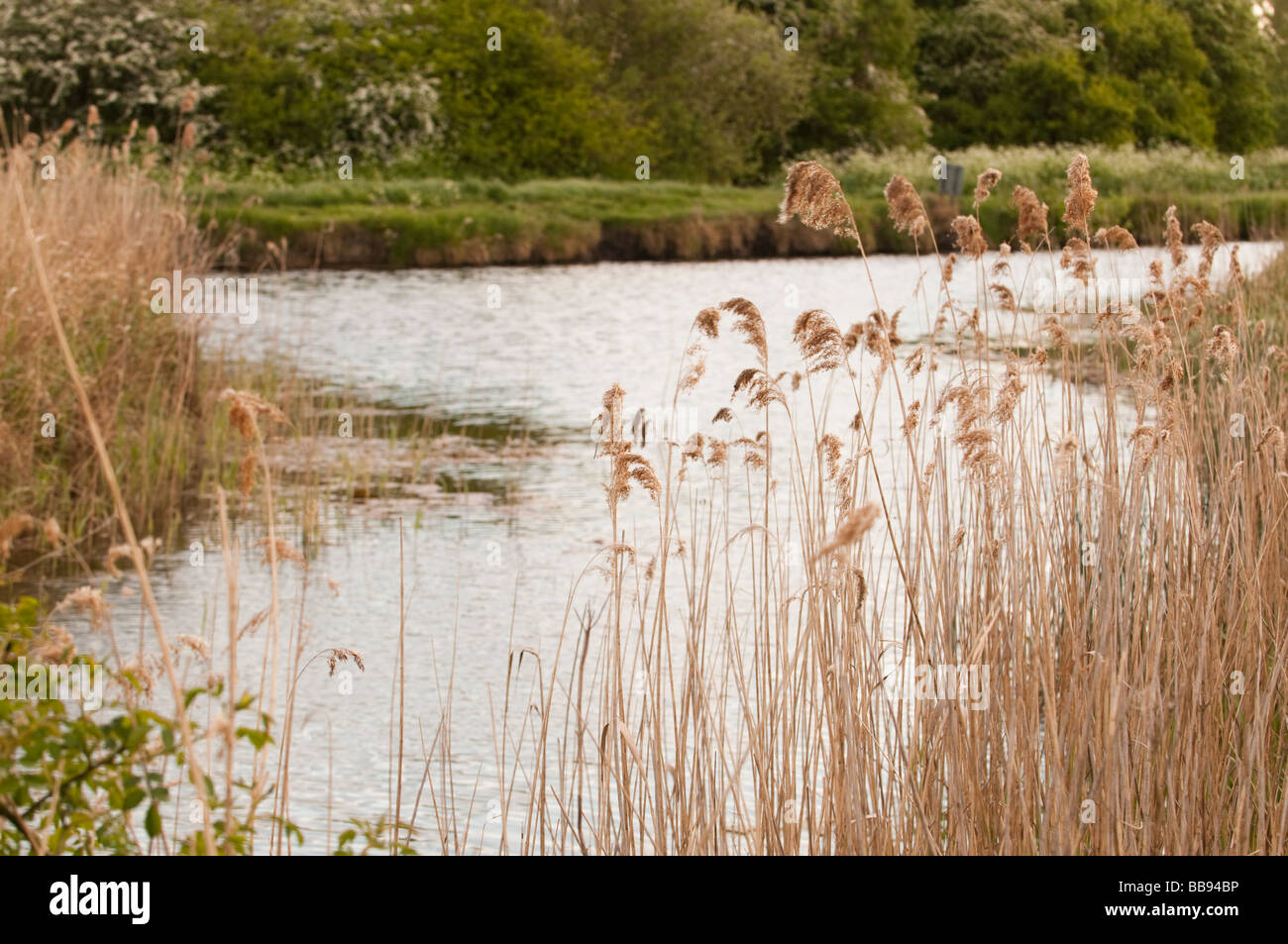 Disturbed water hi-res stock photography and images - Alamy