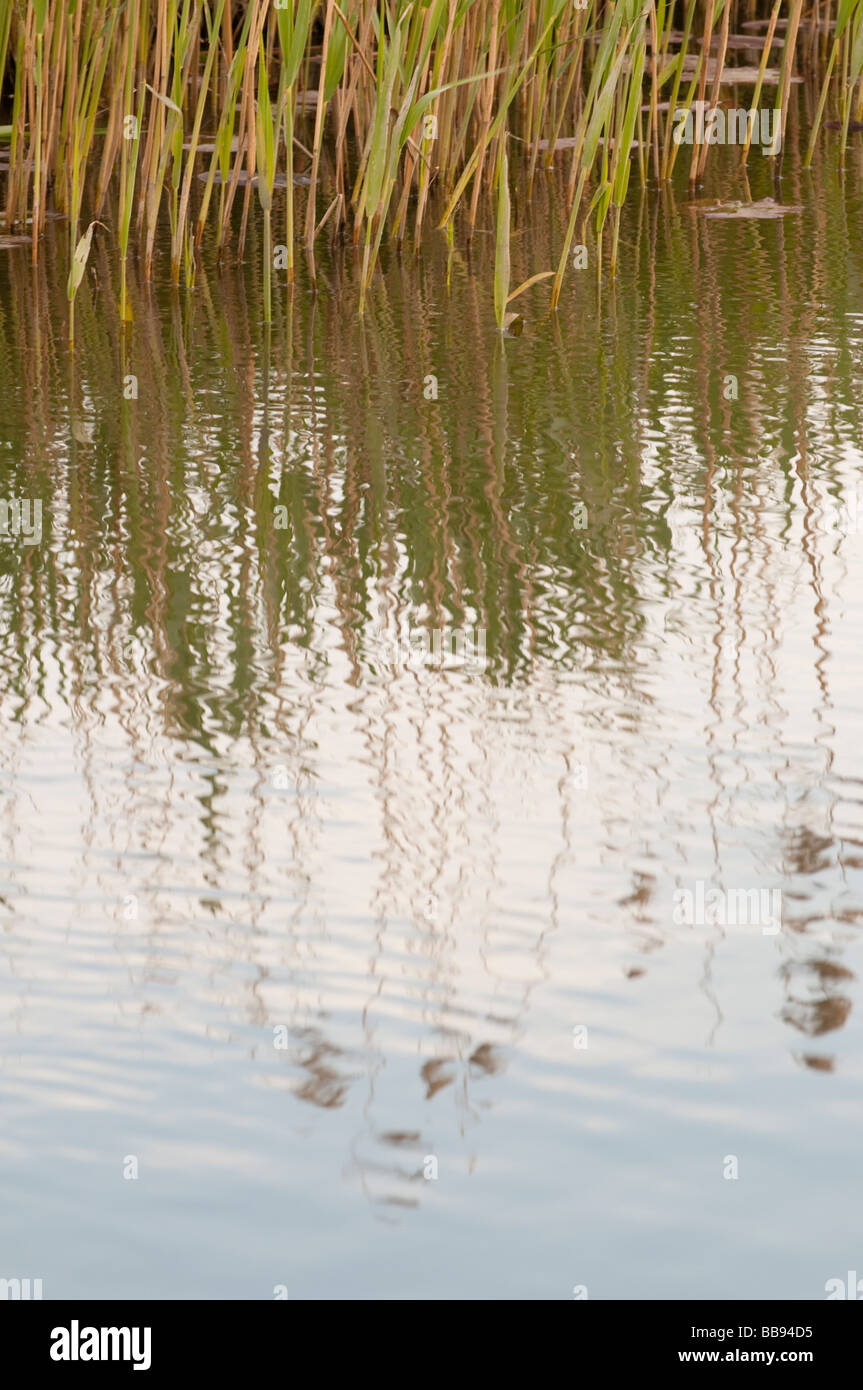 Disturbed water hi-res stock photography and images - Alamy