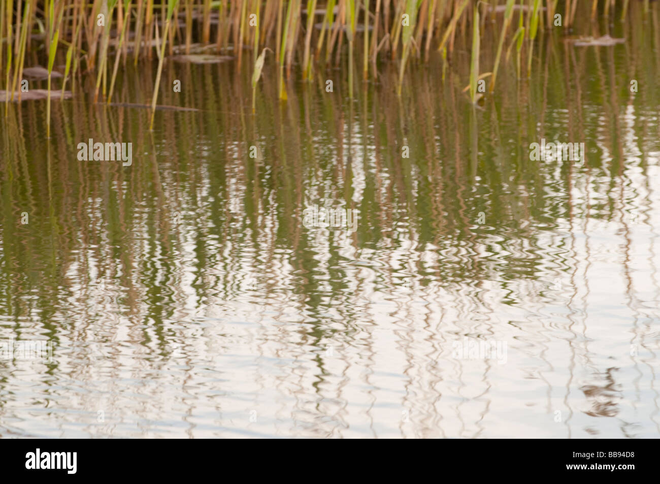 Disturbed water hi-res stock photography and images - Alamy