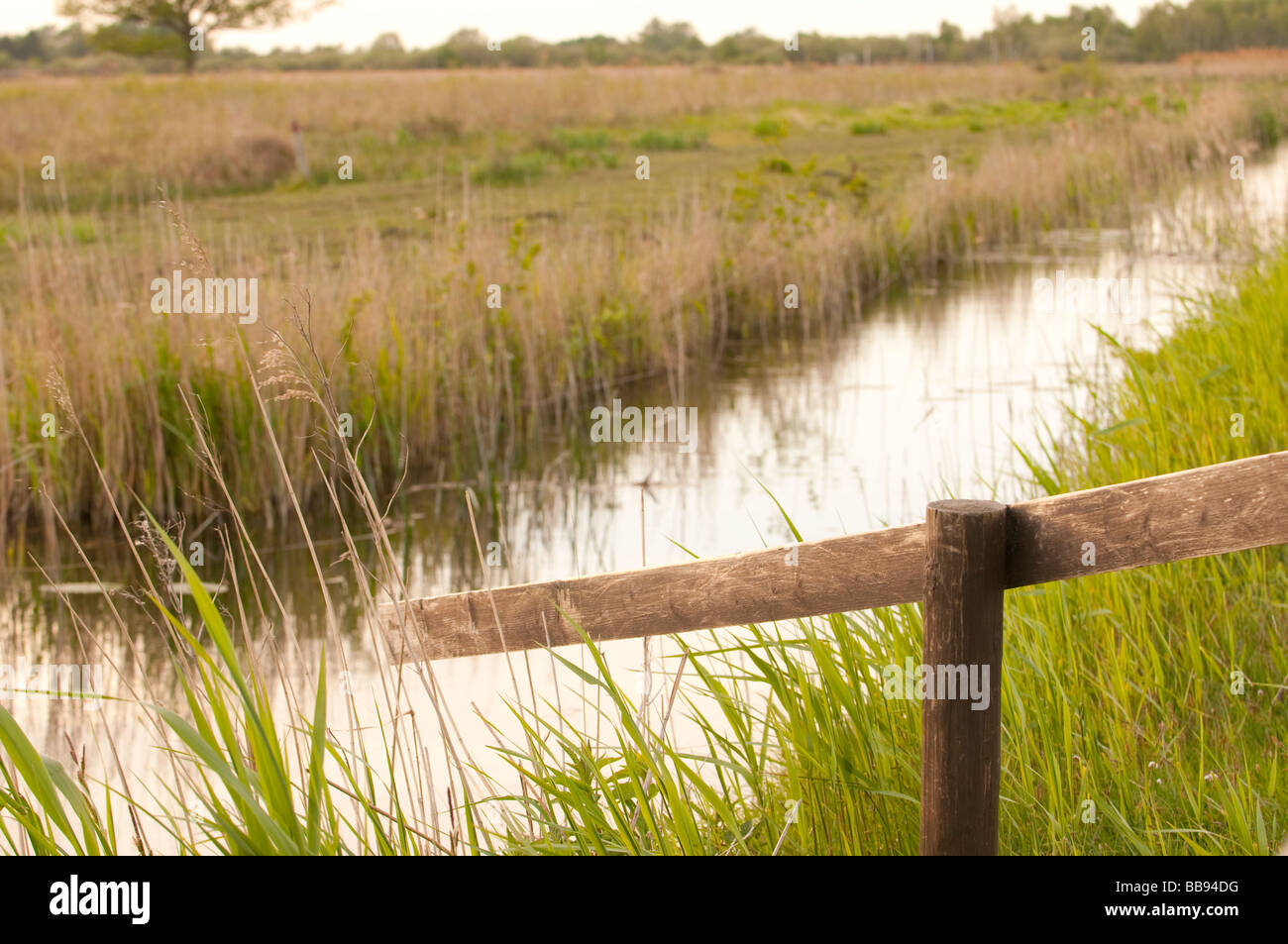 fenland waterway with wooden fence Stock Photo - Alamy