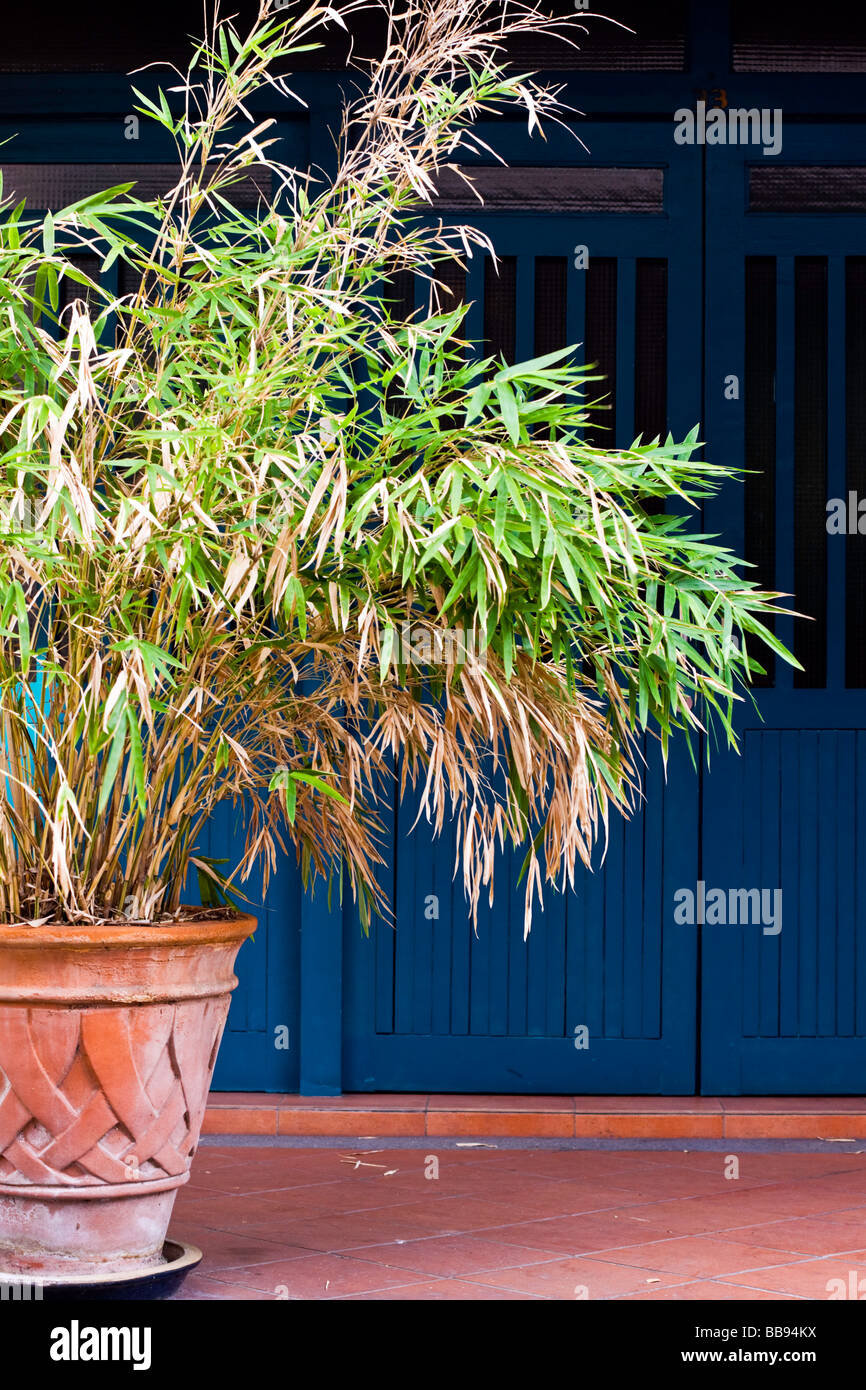 Everton road hi-res stock photography and images - Alamy