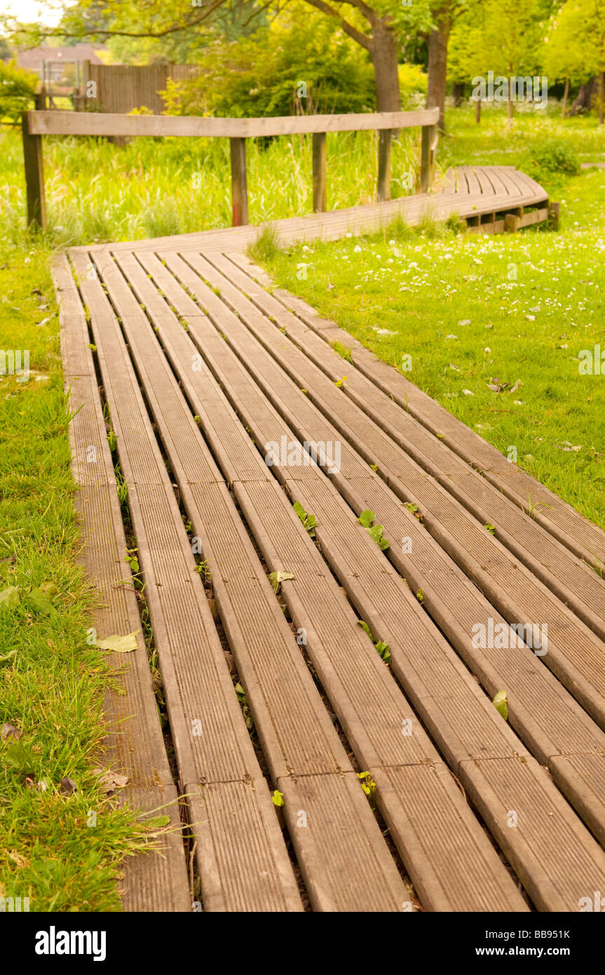 wooden decking pathway in grassy area of woodland Stock Photo - Alamy