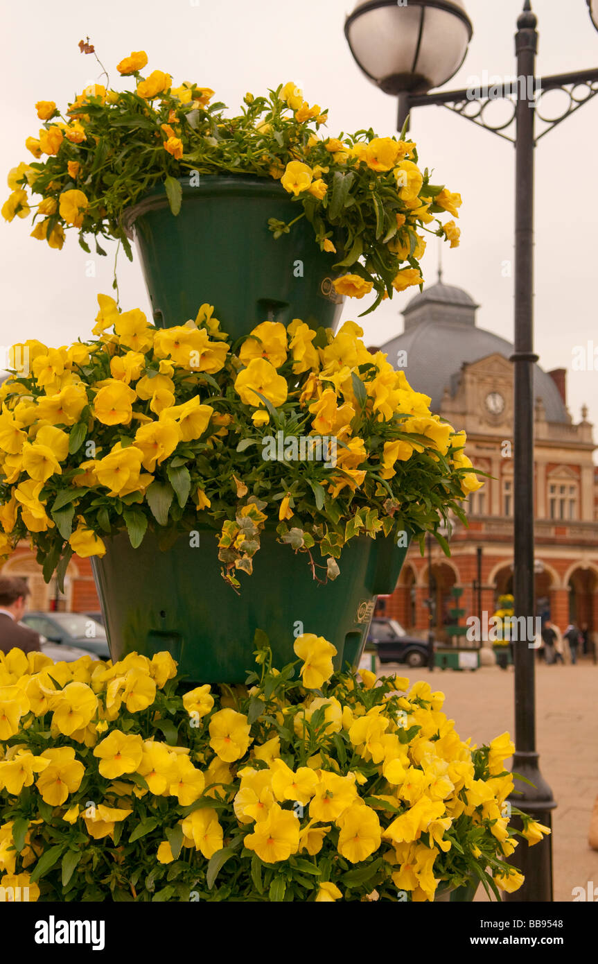 an arrangement of flowers at the entrance to Norwich Railway station ...