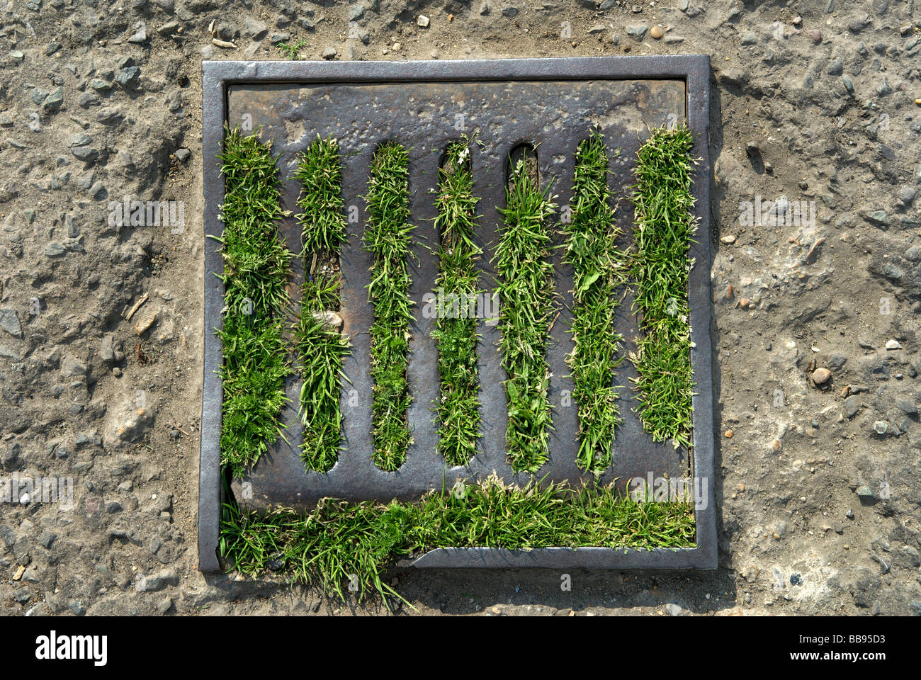 Overgrown drain, Ipswich, Suffolk, UK Stock Photo - Alamy