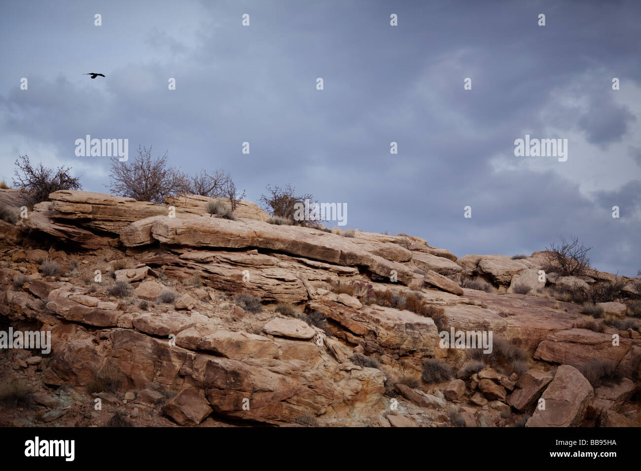 Arches National Park - Moab, Grand County, Utah, USA Stock Photo - Alamy