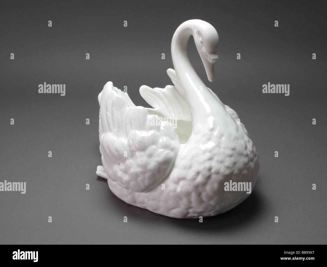 German swan hi-res stock photography and images - Alamy