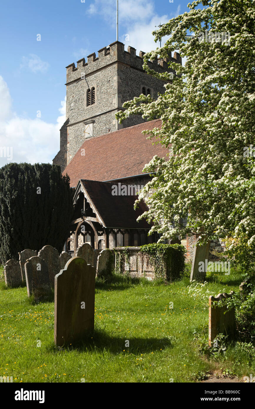 Stanley Spencer Painter High Resolution Stock Photography and Images ...