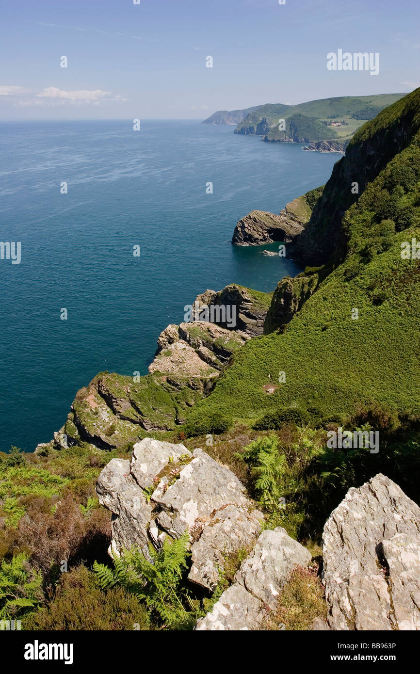 Exmoor hi-res stock photography and images - Alamy