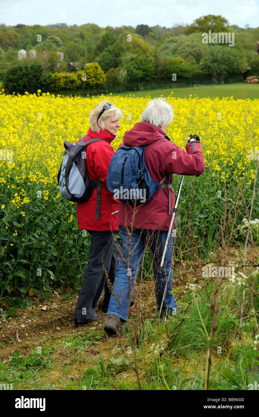 Walkers using sticks hi-res stock photography and images - Alamy