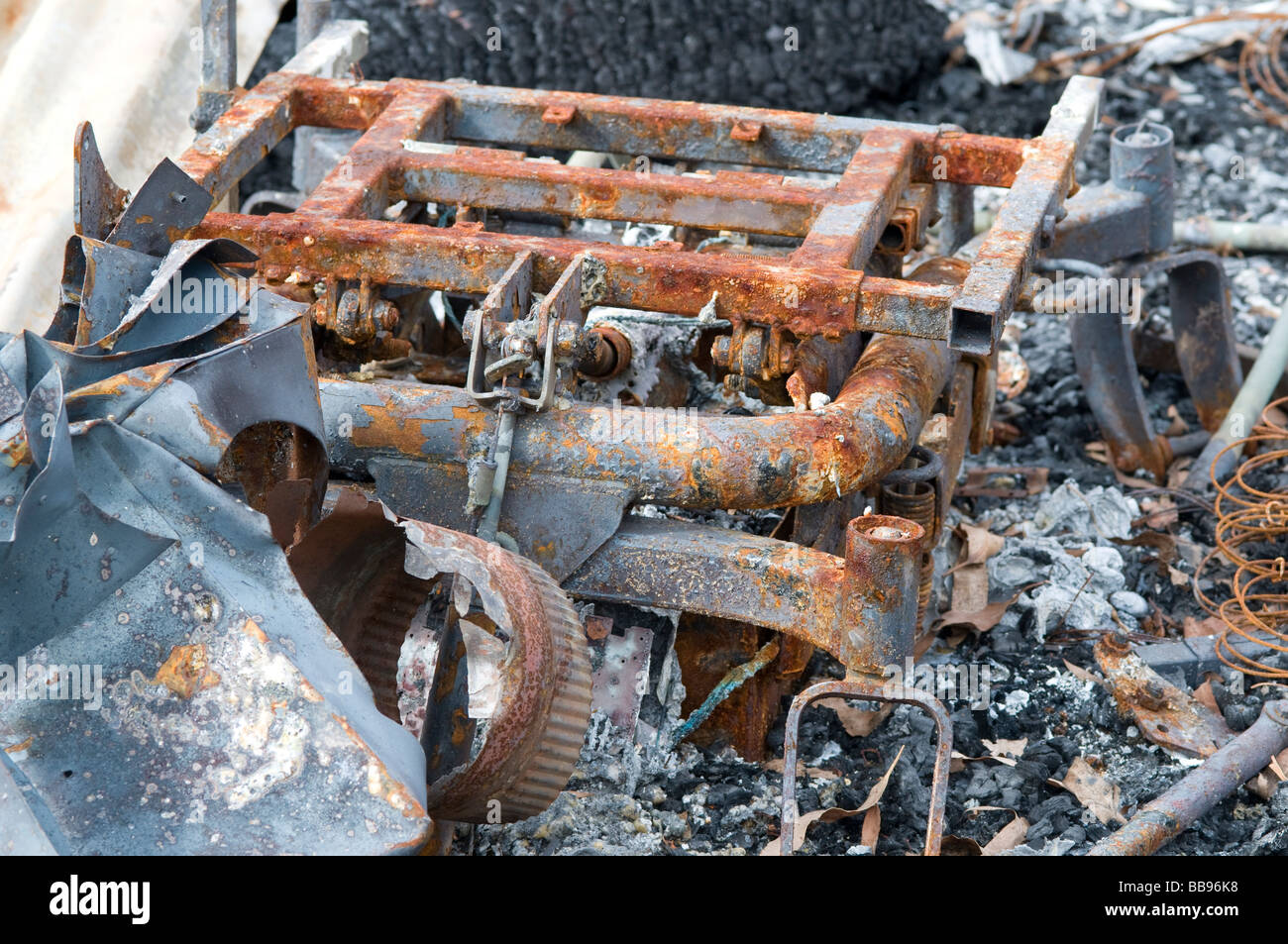 Devastation after a bushfire Stock Photo - Alamy