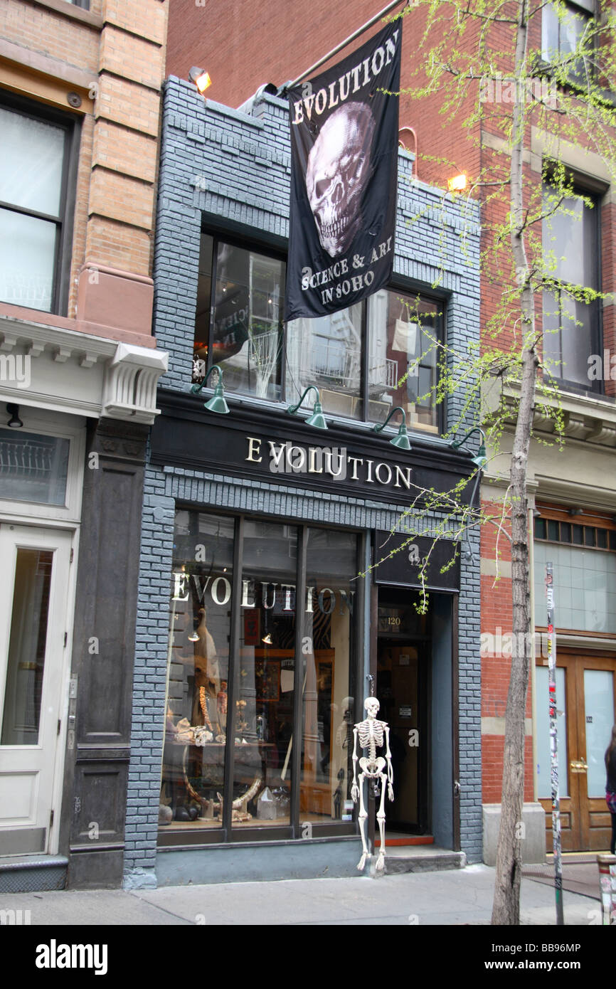 The shopfront to the Evolution store on Spring Street, Soho, New York ...