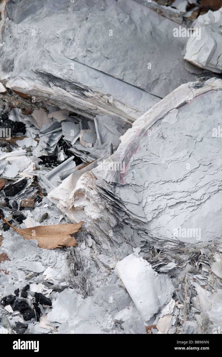 Close up and remains of paper after devastating bushfire Stock Photo ...