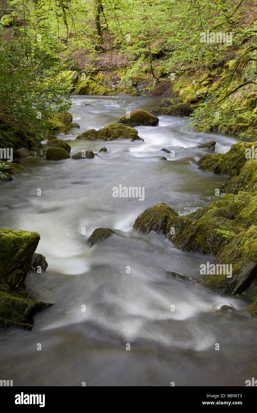 Sutherlands grove hi-res stock photography and images - Alamy